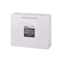 China FSC Hot Stamping Logo Paper Gift Bags Packaging Clothing With Handle for sale