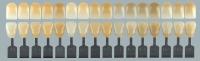 China 3D-Pro Multilayer Zirconia Block for sale