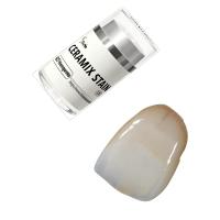 China CERAMIX STAIN Dental Ceramic Glaze Stain Liquid Kit for sale