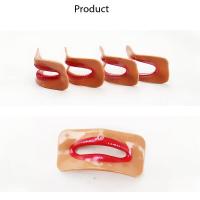 China Dental Aesthetic Lip Simulator for Denture & Smile Design for sale