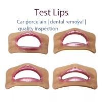 China Dental Lab Lip Reference Model for Denture Arrangement, Porcelain Work & Esthetic Verification for sale