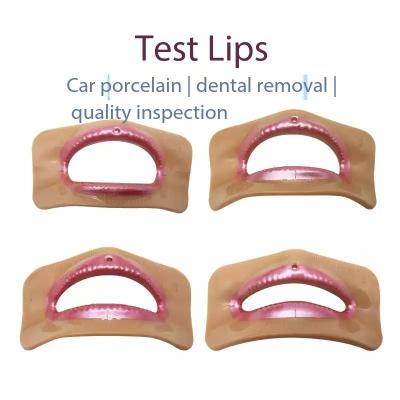 China Dental Lab Lip Reference Model for Denture Arrangement, Porcelain Work & Esthetic Verification for sale