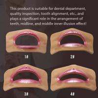 China Dental Lab Lip Reference Model for Denture Arrangement, Porcelain Work & Esthetic Verification for sale