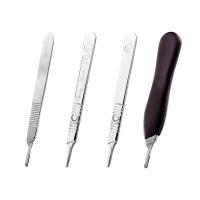 China Engraved Ruler Dental Knife Handle – Interchangeable Blade Holder for Wax Carving & Restoration Work for sale