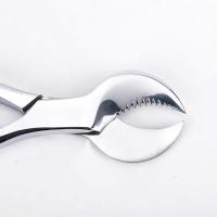 China Heavy-Duty Dental Laboratory Plaster Cutting Shears for Gypsum Model Trimming for sale