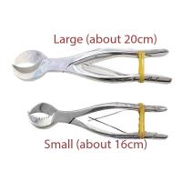 China Heavy-Duty Dental Laboratory Plaster Cutting Shears for Gypsum Model Trimming for sale