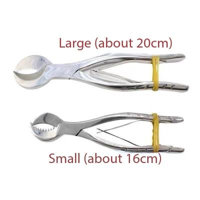 China Heavy-Duty Dental Laboratory Plaster Cutting Shears for Gypsum Model Trimming for sale