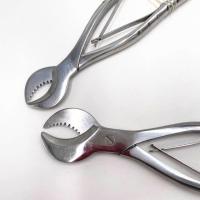 China Heavy-Duty Dental Laboratory Plaster Cutting Shears for Gypsum Model Trimming for sale