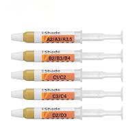 China Ivoclar IPS Classic V Shade Metal Ceramic Powder Stain Glaze System Dental Lab PFM Crown Bridge for sale