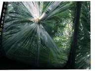 China Anti Fog 950mmx650mm Recyclable Reusable Bags Micro Perforated Plastic Bags for sale