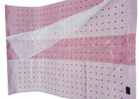China Breathable anti fog Micro Perforated Bags 5mm Vent Holes For Vegetables for sale