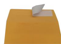 China Self Seal Flap 6x9 Inch Kraft Catalog Envelopes 28 pound Golden Brown for sale