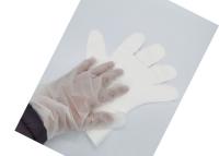 China Ivory White Compostable Food Prep Gloves ASTM D6400 For Food Handling for sale