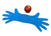 China Flexible Puncture-resistant Blue CPE Gloves for Kitchen Food Classification for sale