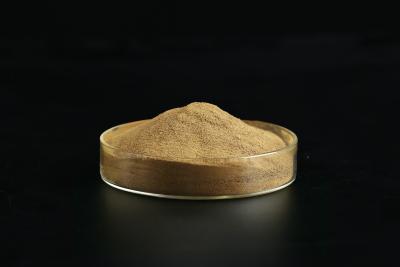 China Moisture Content 5% Max Lignosulfonate Superior Performance and Molecular Weight 000-100 for Industrial Applications for sale