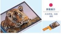 China 300cd/M2 2 Inch TFT Display , ST7789V IC TFT LCD Touch Screen for sale