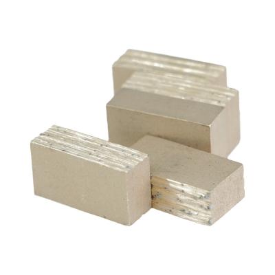 China 900mm Diamond Marble Segment Cutter Tips for Mixing Cutting Segment in Pakistan Market for sale