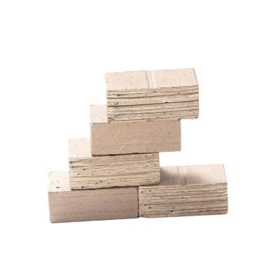 China Customized 24*8*13mm Marble Tip Diamond Segment for Soft and Hard Cutting in Pakistan for sale