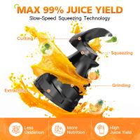 China Cold Press Masticating Juicer Machine 5.3 Inch Slow Juicer Extractor for Home Use Preserve Vitamins for sale