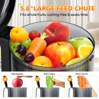 China Cold Press Masticating Juicer Machine 5.3 Inch Slow Juicer Extractor for Home Use Preserve Vitamins for sale