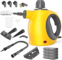 China High Pressure Handheld Steam Cleaning Machine 500mL 230°F for sale
