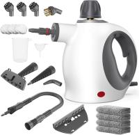 China High Pressure Handheld Steam Cleaning Machine 500mL 230°F for sale