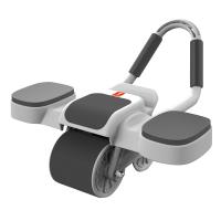 China Multi Functional Power Roller Fitness Equipment 150kg Weight Capacity Home Gym for sale