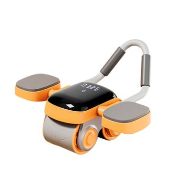 China Multi Functional Power Roller Fitness Equipment 150kg Weight Capacity Home Gym for sale