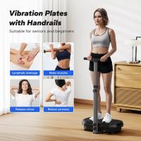 China Vibration Plate Exercise Machine with Handrail 50 Speed Levels Home Fitness Equipment for sale