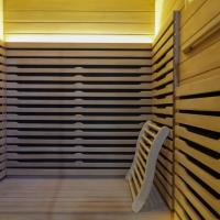 China Therapy Lights Low Emf Electric Heaters FarInfrared Sauna for sale