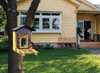 China Visible Bird Feeder 1.5L with Automatic Squirrel Repellent and 5MP Camera for Outdoor Bird Watching for sale