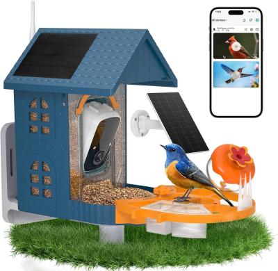 China Iron Smart Bird Feeder 5MP AI Recognition 4000mAh Battery Solar Charging IP65 Outdoor for sale