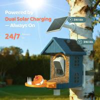 China Iron Smart Bird Feeder 5MP AI Recognition 4000mAh Battery Solar Charging IP65 Outdoor for sale
