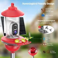 China Smart Bird Feeder with 5MP 2.5K Camera and 4000mAh Battery for Outdoor Bird Watching for sale