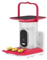 China Smart Bird Feeder with 5MP 2.5K Camera and 4000mAh Battery for Outdoor Bird Watching for sale