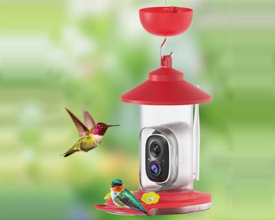China Smart Bird Feeder with 5MP 2.5K Camera and 4000mAh Battery for Outdoor Bird Watching for sale