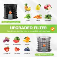 China Masticating Cold Press Juicer Machine 150W for Vegetables Fruits Commercial Grade for sale