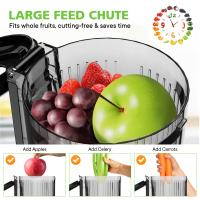 China Masticating Cold Press Juicer Machine 150W for Vegetables Fruits Commercial Grade for sale