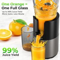 China Masticating Juicer Stainless Steel Housing Reverse Mode Low Noise Extraction for sale