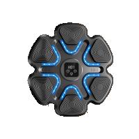 China Smart Music Boxing Machine Wall Mounted Bluetooth Boxing Target with LED Display for sale
