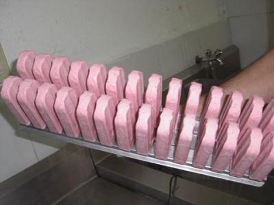 China Molds ice cream ice lolly forming stainless steel 28mold 63ml brida ataforma type with plain stick holder high quality for sale