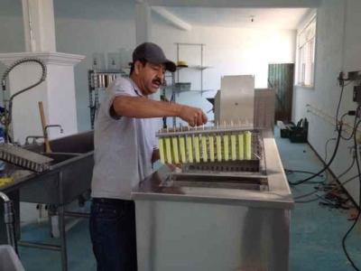 China Hot sale Ice cream forming molds ice cream freeze machine mold commercial use high quality with stick extracter for sale