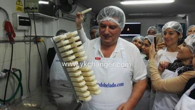 China Stainless steel ice cream molds factory material food grade 2x13 26pieces Mexican paletas high quality ataforma type for sale