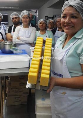 China Ataforma type ice lolly moulds commercial use food grade 2x13 26pieces Mexican paletas high quality ataforma type for sale