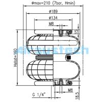 China SP 2 B 07 R Phoenix Air Spring 75mm Height  SP2B07R Double Convoluted Industrial Air Suspension for sale
