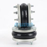 China Dunlop Pneuride 6