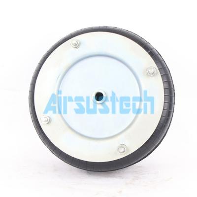 China Dunlop Pneuride 12