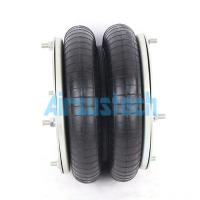 China Dunlop Pneuride 12
