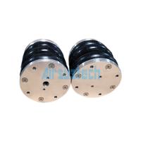 China A313300301 Dunlop SP2923 Pneumatic Air Actuator Spring for Pneumatic Applications for sale