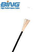 China AFR250-2 PTFE Taped Wire Silver Plated Copper 600V Power Auto Use for Installation for sale